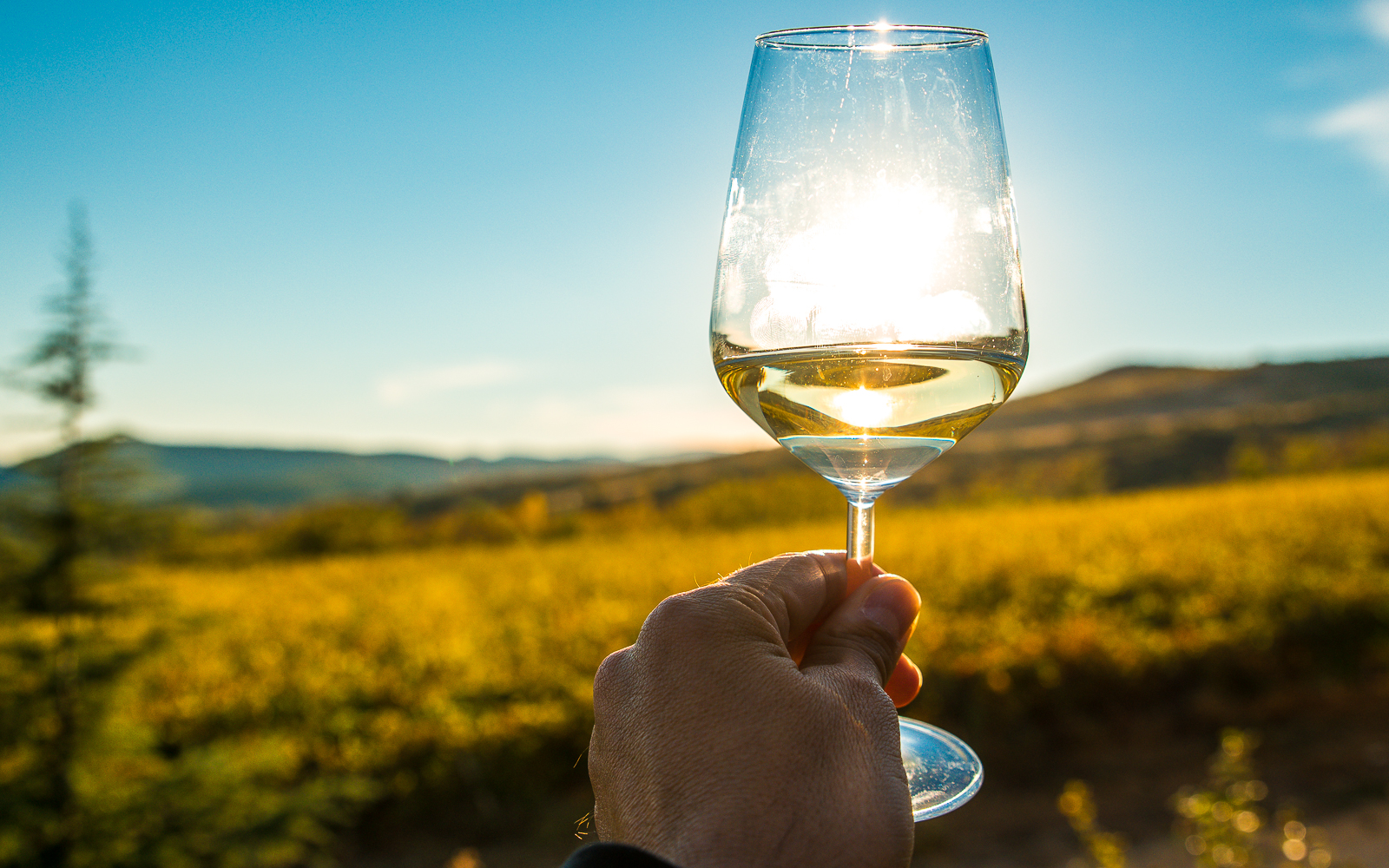 I Drank: All The Wine in Demir Kapija, Macedonia - 100 Days and Nights