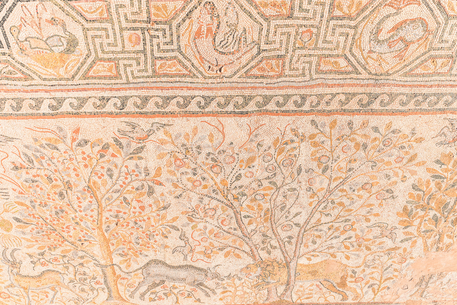 What to Do it Bitola, Macedonia - 100 Days and Nights